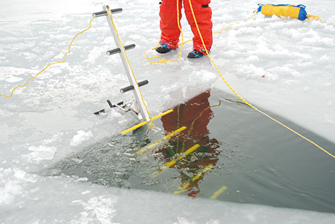 Penguin Ice Ladder I GALLERY